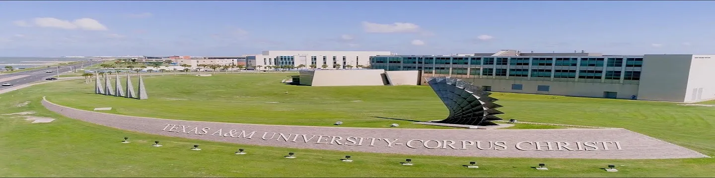 Texas A&M University - Corpus Christi | Postgraduate, Undergraduate